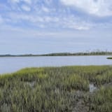 Cedar Point Tideland Trail, North Carolina - 773 Reviews, Map | AllTrails