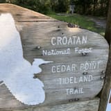 Cedar Point Tideland Trail, North Carolina - 773 Reviews, Map | AllTrails