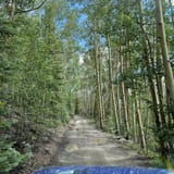 Bachelor Historic OHV Loop, Colorado - 146 Reviews, Map | AllTrails