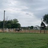 BWI Trail, Maryland - 2,822 Reviews, Map | AllTrails