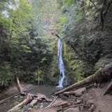 Madison Falls Trail, Washington - 1,984 Reviews, Map | AllTrails
