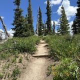 Spectra Point Trail, Utah - 460 Reviews, Map | AllTrails