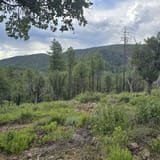 Box Canyon Trail, Arizona - 406 Reviews, Map | AllTrails