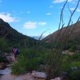Pima Canyon Trail, Arizona - 3,306 Reviews, Map | AllTrails