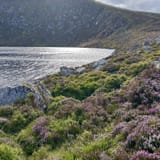 Lough Ouler and Tonelagee Loop, County Wicklow, Ireland - 1,192 Reviews ...