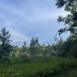 Guana Trail, Marshview Lane, and Shellbluff Road, Florida - 286 Reviews ...