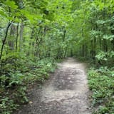 Aman Park Loop, Michigan - 1,677 Reviews, Map | AllTrails