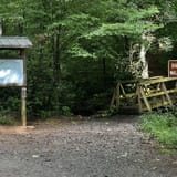 Bartram Trail: Wallace Branch to William's Pulpit, North Carolina ...