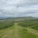 Pooley Bridge and Howtown Circular, Cumbria, England - 228 Reviews, Map ...