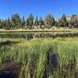 Tamarack Peak Loop, Nevada - 1,092 Reviews, Map | AllTrails