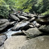 Boone Fork Trail, North Carolina - 3,601 Reviews, Map | AllTrails