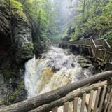 Bushkill Falls Red Trail [CLOSED], Pennsylvania - 649 Reviews, Map ...
