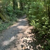 Tryon Creek Triple Bridge Loop, Oregon - 1,757 Reviews, Map | AllTrails