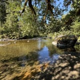 Pilchuck River Trail, Washington - 342 Reviews, Map | AllTrails