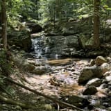 Cascade Falls Loop Trail, Maryland - 2,991 Reviews, Map | AllTrails