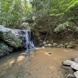 Cascade Falls Loop Trail, Maryland - 2,991 Reviews, Map | AllTrails