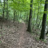 Skippack Creek Loop Trail, Pennsylvania - 4,014 Reviews, Map | AllTrails