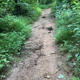 Skippack Creek Loop Trail, Pennsylvania - 4,014 Reviews, Map | AllTrails