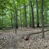 Core Creek Park Trail, Pennsylvania - 1,660 Reviews, Map | AllTrails