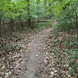 Core Creek Park Trail, Pennsylvania - 1,660 Reviews, Map | AllTrails