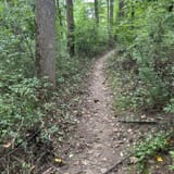 Core Creek Park Trail, Pennsylvania - 1,660 Reviews, Map | AllTrails