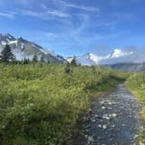 Portage Pass Trail, Alaska - 2,368 Reviews, Map | AllTrails