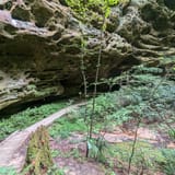 Hazard Cave and Natural Bridge Trail, Tennessee - 369 Reviews, Map ...