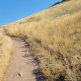 Mount Jumbo Loop via L Trail, Jumbo Backbone, and South Face, Montana ...