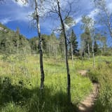 Booth Falls, Colorado - 5,705 Reviews, Map | AllTrails
