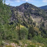 Neffs Canyon Trail, Utah - 2,224 Reviews, Map | AllTrails
