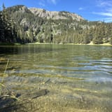 Middle Fork Lake Trail, New Mexico - 1,082 Reviews, Map | AllTrails