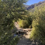 Rose Valley Falls, California - 706 Reviews, Map | AllTrails