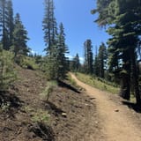 Mount Judah Loop Trail, California - 2,575 Reviews, Map | AllTrails