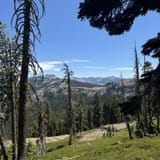Mount Judah Loop Trail, California - 2,575 Reviews, Map | AllTrails