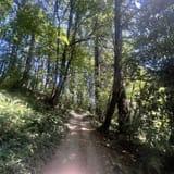 Washington Park Loop, Oregon - 1,970 Reviews, Map | AllTrails