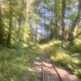 Washington Park Loop, Oregon - 1,970 Reviews, Map | AllTrails