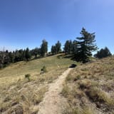 Mores Mountain Loop, Idaho - 533 Reviews, Map | AllTrails