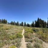 Mores Mountain Loop, Idaho - 533 Reviews, Map | AllTrails