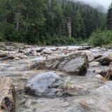 Loop Brook Trail, British Columbia, Canada - 251 Reviews, Map | AllTrails