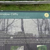 Window Cliffs Trail, Tennessee - 1,579 Reviews, Map | AllTrails