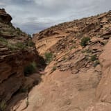 Syncline Loop, Utah - 1,073 Reviews, Map | AllTrails