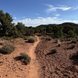Syncline Loop, Utah - 1,073 Reviews, Map | AllTrails