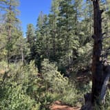 Pine Strawberry Trail to Arizona Trail, Arizona - 128 Reviews, Map ...