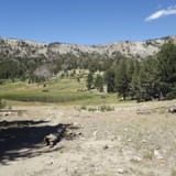 Tamarack Peak Loop, Nevada - 1,083 Reviews, Map | AllTrails