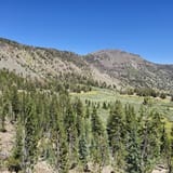 Tamarack Peak Loop, Nevada - 1,083 Reviews, Map | AllTrails