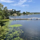 Foster Island Trail, Washington - 708 Reviews, Map | AllTrails