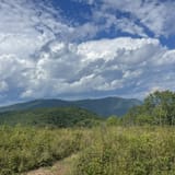 Siler Bald via Appalachian Trail, North Carolina - 823 Reviews, Map ...