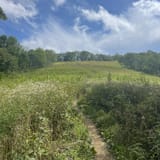 Siler Bald via Appalachian Trail, North Carolina - 823 Reviews, Map ...