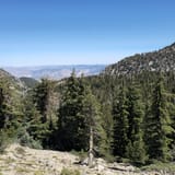 Tamarack Peak Loop, Nevada - 1,083 Reviews, Map | AllTrails
