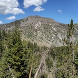 Tamarack Peak Loop, Nevada - 1,083 Reviews, Map | AllTrails